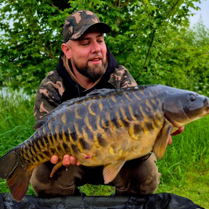 Fully scaled | Total Carp